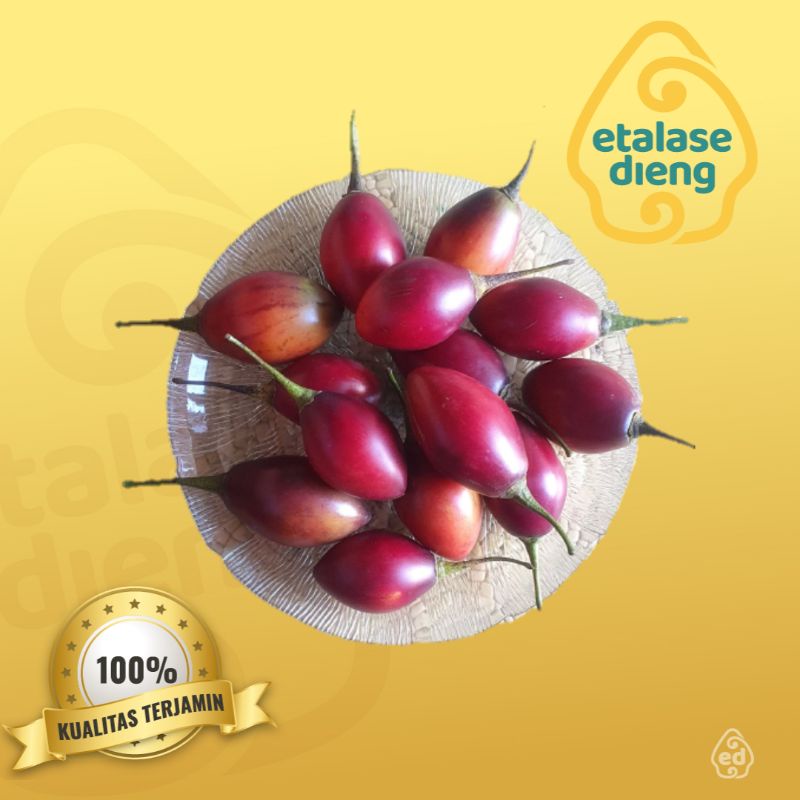 Jual Terong Belanda / Terong Kori / Terong Fresh / 1Kg | Shopee Indonesia