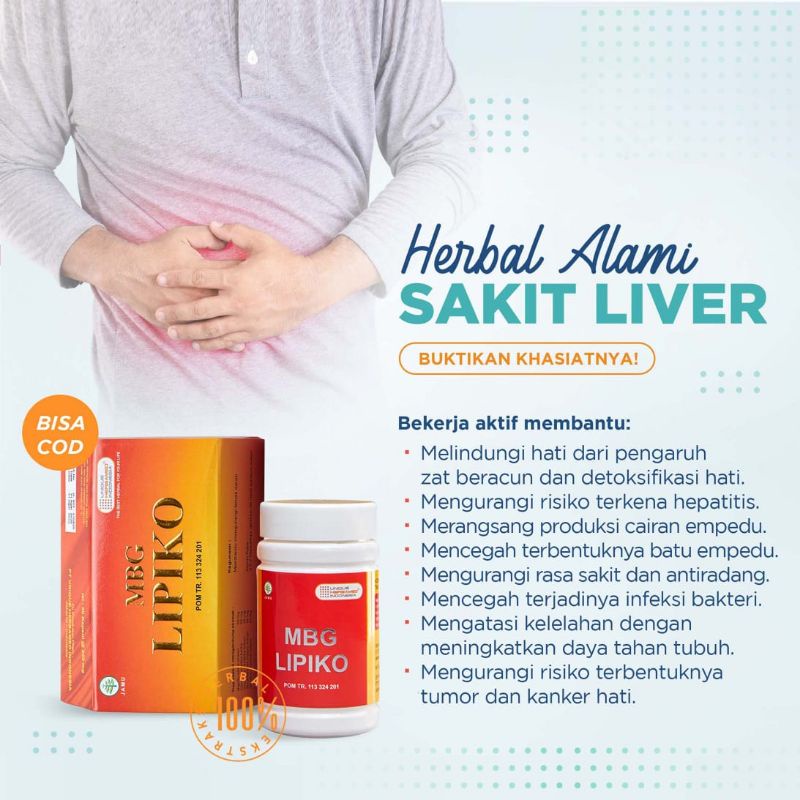 Jual LIPIKO OBAT LIVER HEPATITIS HERBAL LEMAK DARAH | Shopee Indonesia