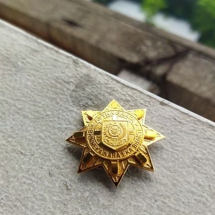Jual PIN IPDN PIN ALUMNI IPDN PIN ASTHA BRATA | Shopee Indonesia