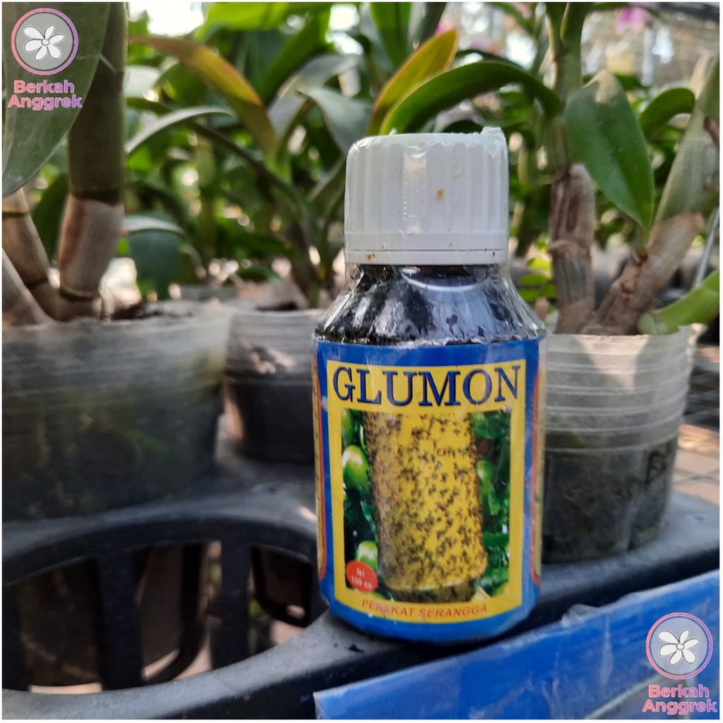 Jual Glumon 100 ml Lem Perangkap Lalat Buah | Shopee Indonesia