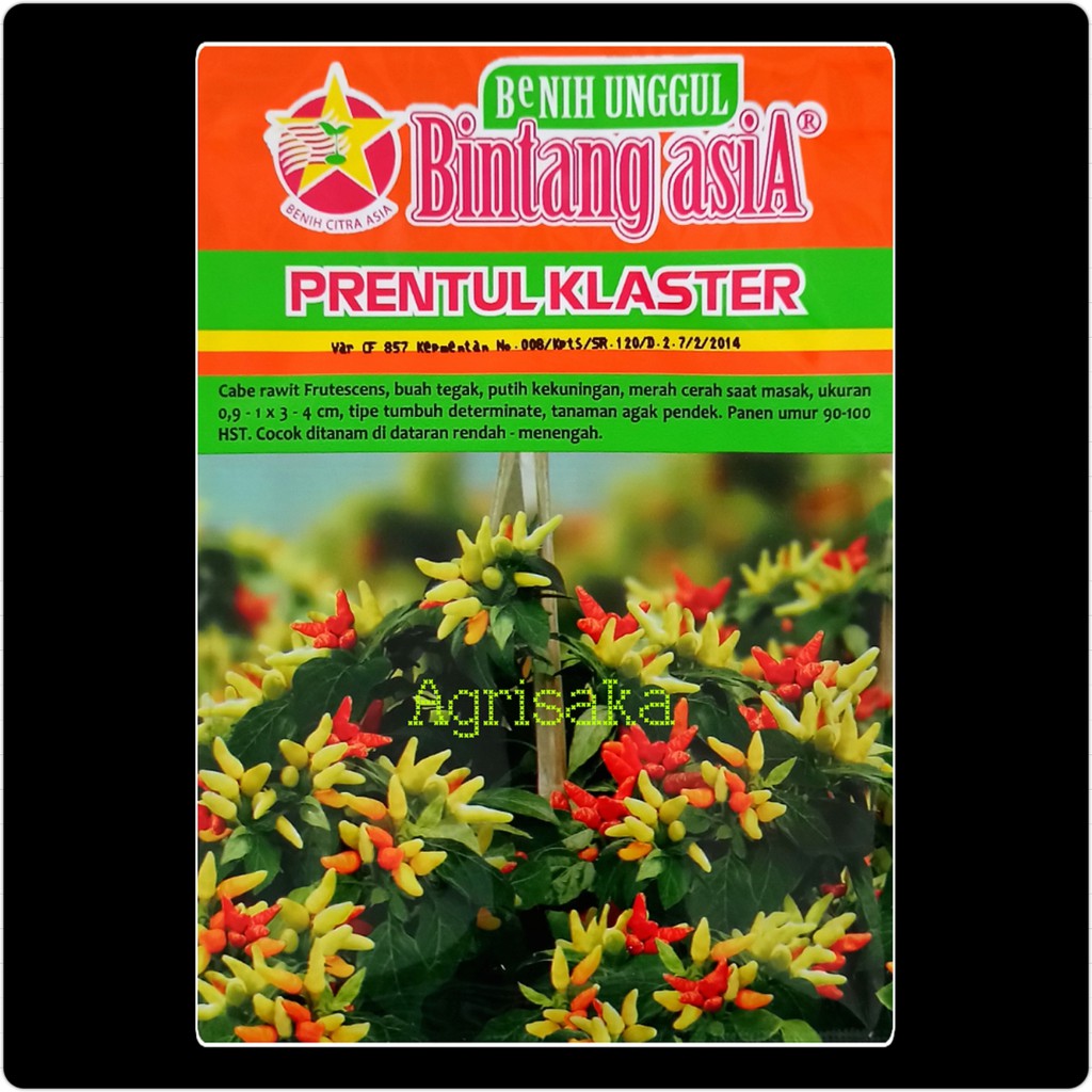 Jual Benih Cabe Rawit Tegak PRENTUL KLASTER 10 Gram - Bintang asiA ...