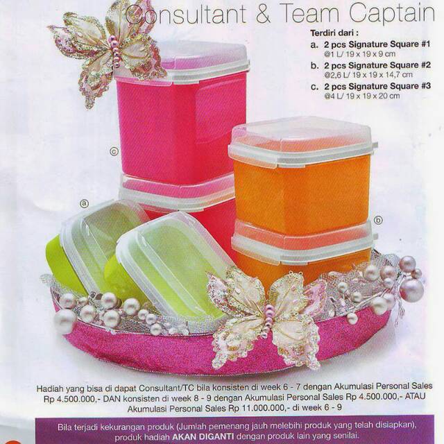 Jual Signature square (1) TUPPERWARE | Shopee Indonesia