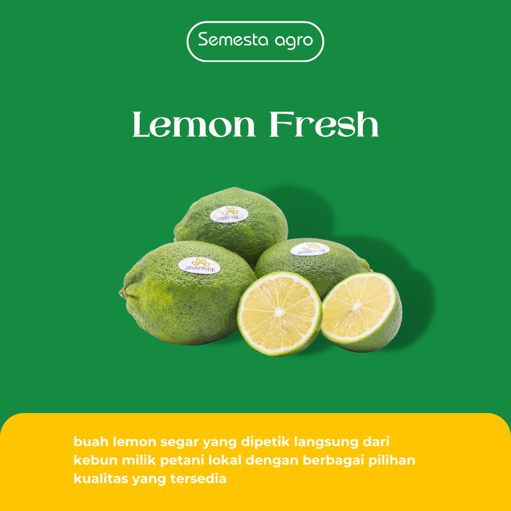 Jual LEMON LOKAL SEGAR (1 Kg) | Fresh dan Alami dari Kebun Sendiri ...