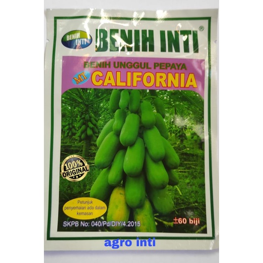 Jual Benih pepaya unggul CALIFORNIA Benih Inti isi 60 butir | Shopee ...