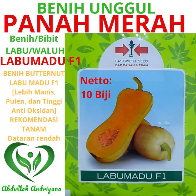 Jual Benih LABU MADU F1 ButterNut Pumpkin isi 10 Biji Bibit Labu Cap ...