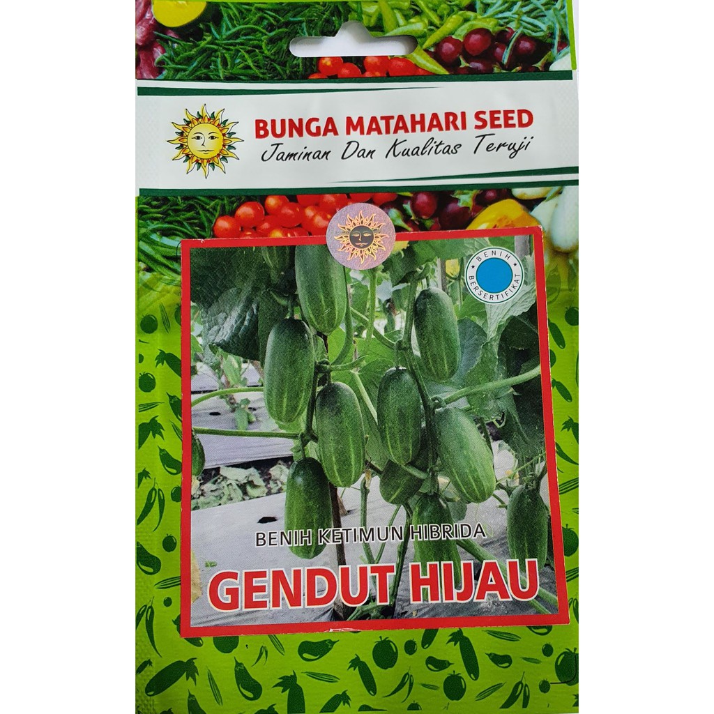 Jual Benih Ketimun Hibrida Gendut hijau F1 (Cap Bunga Matahari) 80 ...