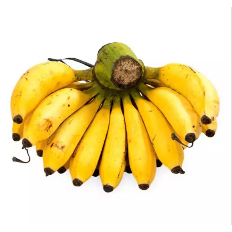 Jual Pisang raja sereh surga kebutuhan ku | Shopee Indonesia