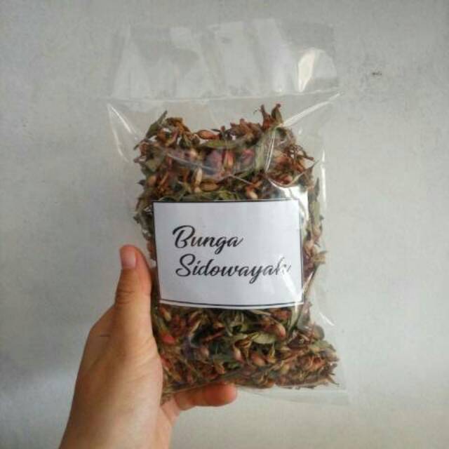 Jual Laris Rempah. Bunga Sidowayah Premium Kering (Woodfordia ...
