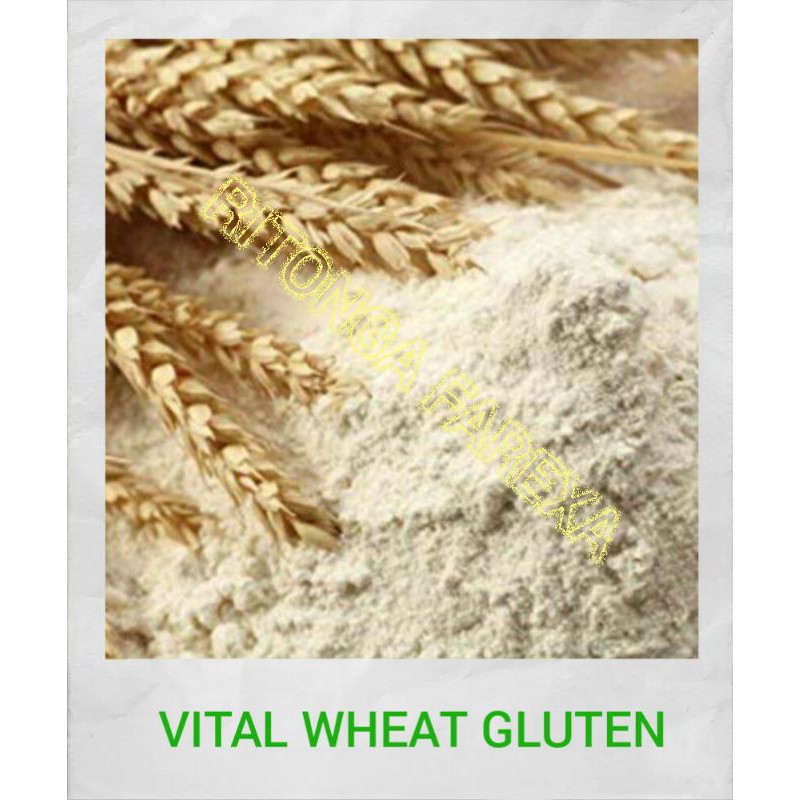 Jual VITAL - WHEAT GLUTEN 1Kg / GLUTEN GANDUM 1kg | Shopee Indonesia