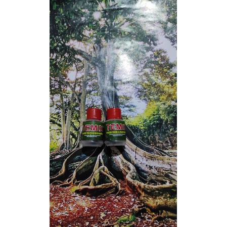 Jual PRODUK- TEMIX RACUN TIKUS/RACUN WIROG/RACUN BABI/RACUN CELENG ...