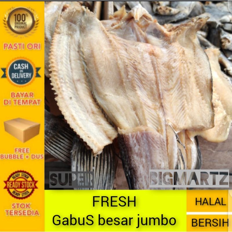 Jual ikan asin gabus jumbo - 1 kg gabus super | Shopee Indonesia