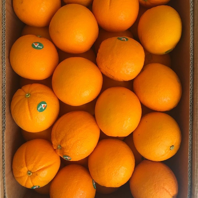 Jual BUAH JERUK ORANGE VALENCIA IMPORT 1KG [HARVEST LINE] | Shopee ...
