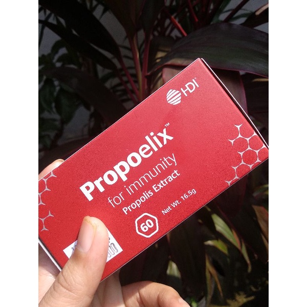 Jual Propoelix HDI 60 kapsul | Shopee Indonesia