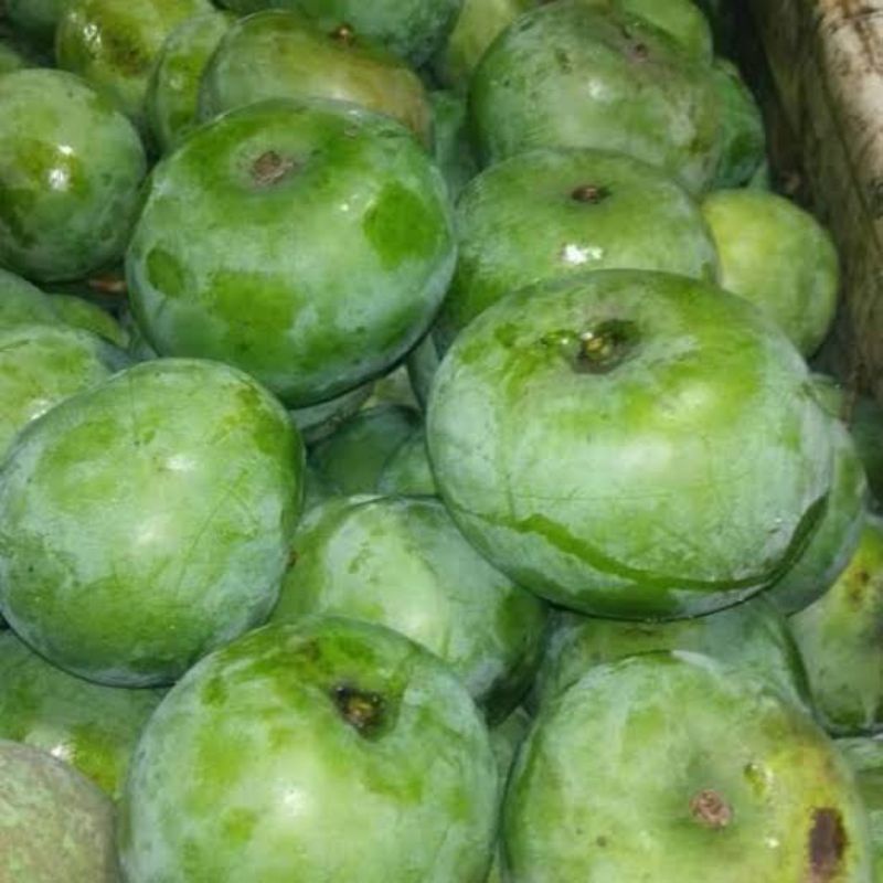 Jual MANGGA MUDA APEL FRESH 1 KG | Shopee Indonesia