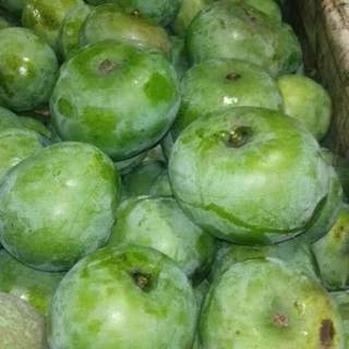 Jual Mangga Apel Terlengkap & Harga Terbaru Juni 2024 | Shopee Indonesia