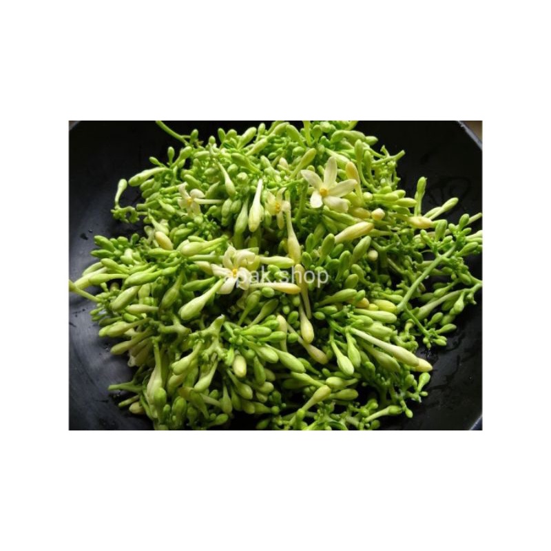 Jual Sayur Bunga Pepaya 250 gram | Shopee Indonesia