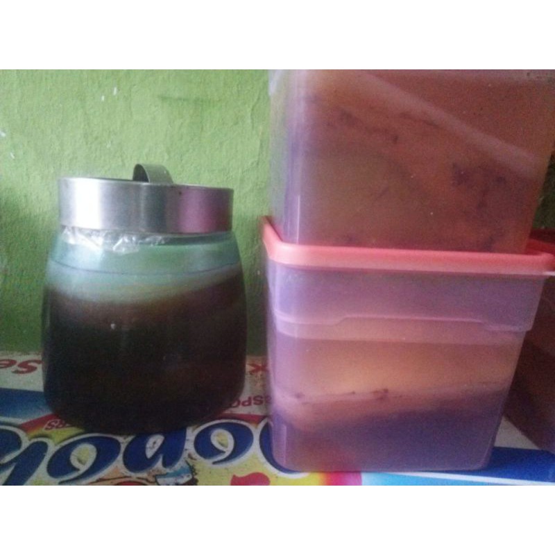 Jual jamur kombucha/dipo | Shopee Indonesia
