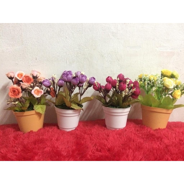 Jual Pot bunga kecil untuk di meja kantor | Shopee Indonesia