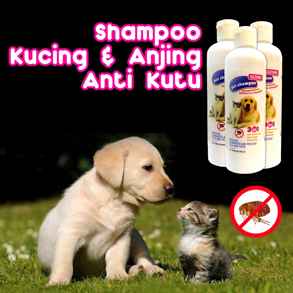 Jual SHAMPOO KUCING ANJING ANTI KUTU JAMUR - GEZOND SHAMPO 250ml ...