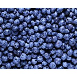 Jual HERBS & Co - Frozen / IQF / Premium Grade Blueberries / Buah Utuh ...
