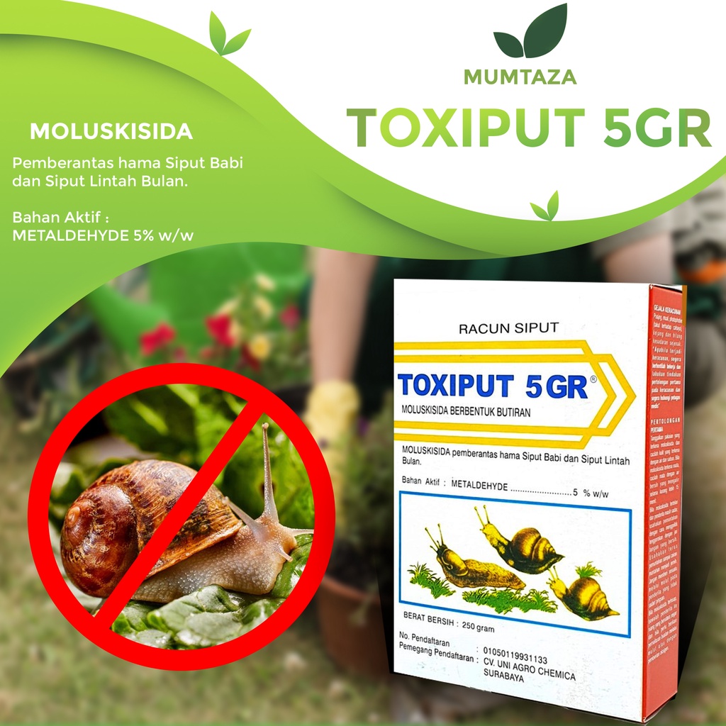 Jual Moluskisida TOXIPUT 5 GR || racun pemberantas hama siput babi dan ...