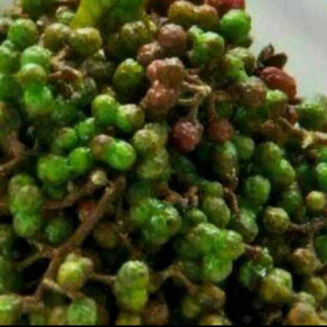 Jual Buah Andaliman Segar dan Hijau, Asli Khas Medan, 500 gr | Shopee ...