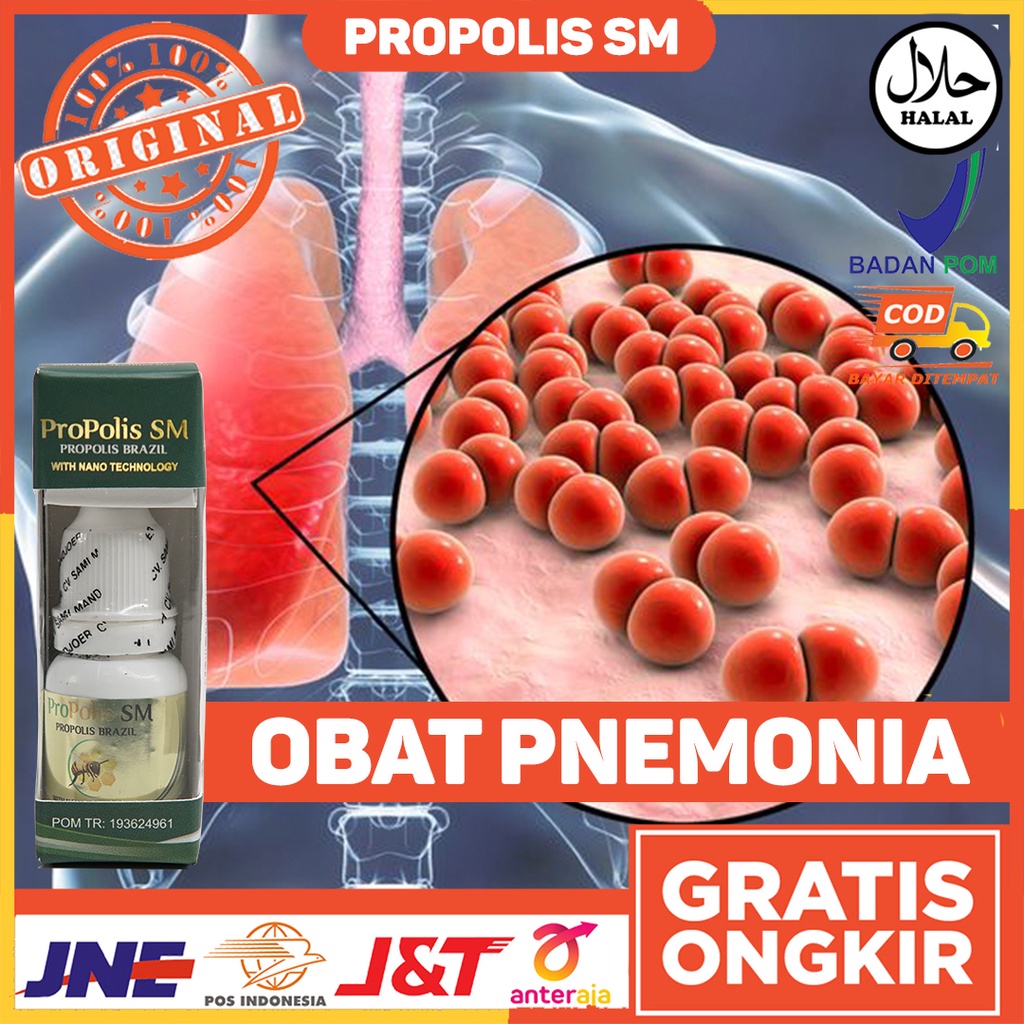 Jual Obat Pnemonia - Obat Radang Paru Paru - Obat Infeksi Menyerang ...