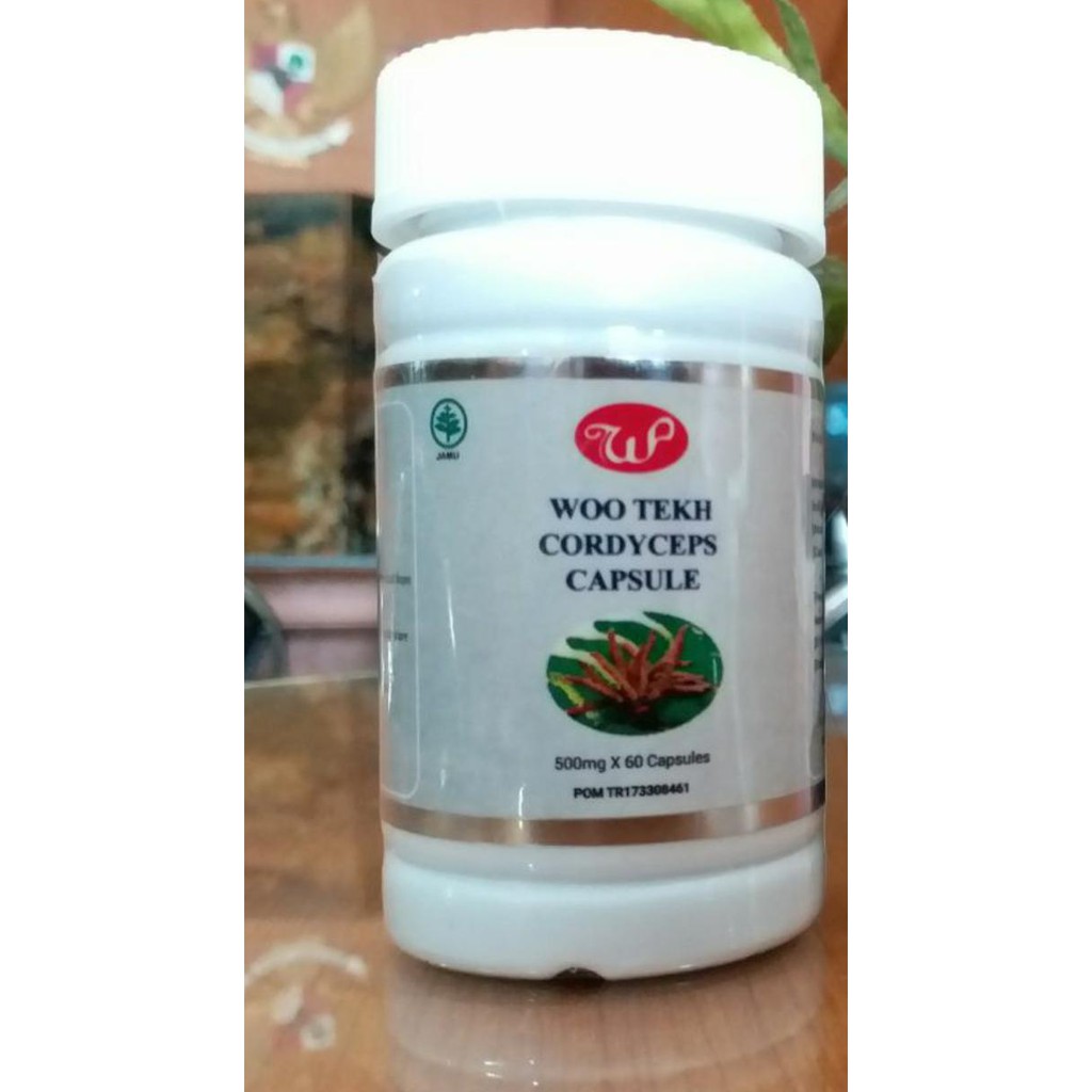 Jual Obat Herbal berhenti merokok/batuk menahun CORDYCEPS CAPSULE ...