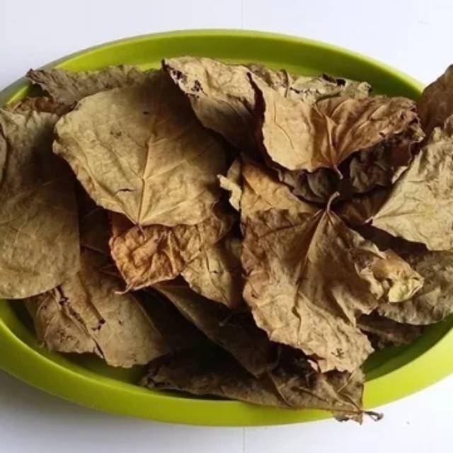 Jual Daun dadap serep kering 100gr | Shopee Indonesia