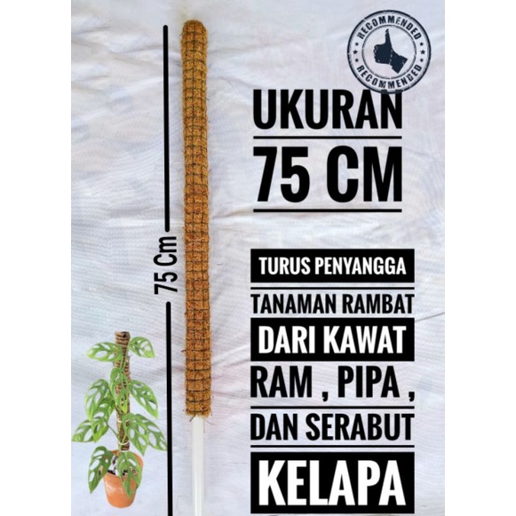 Jual Turus tanaman rambat - turus penyangga tanaman pipa kawat ram 75cm ...