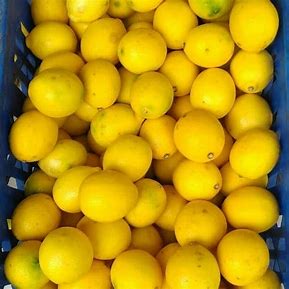 Jual Jeruk Lemon California 500 gr 1/2 KG | Shopee Indonesia