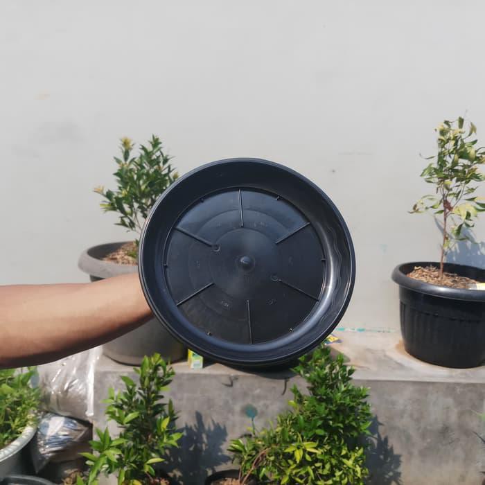 Jual tatakan alas pot bunga hitam untuk ukuran 20cm | Shopee Indonesia