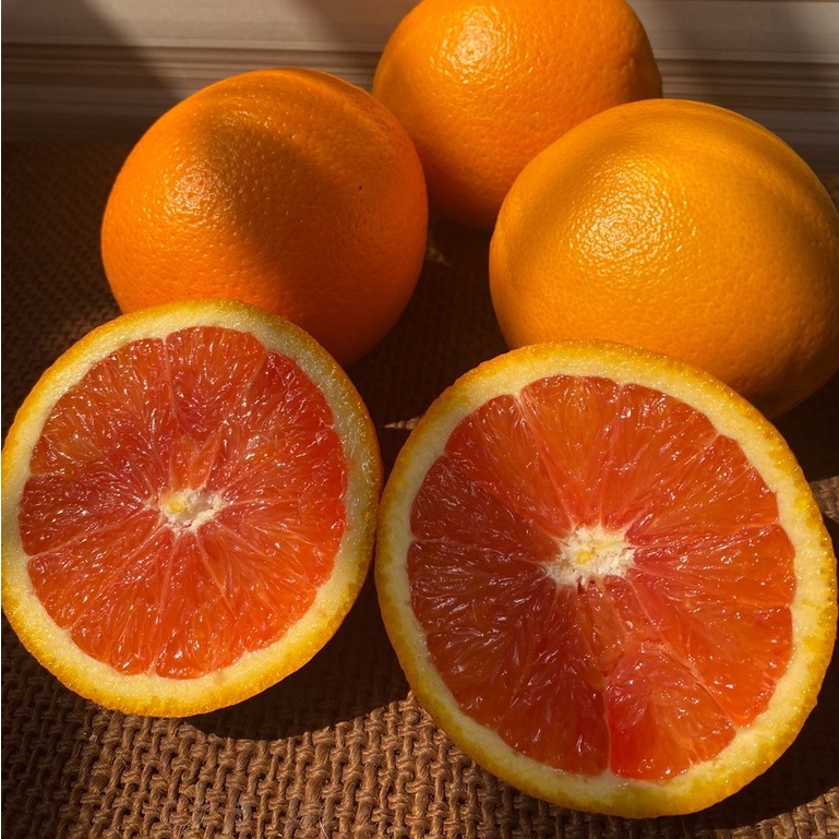 Jual MANGANOBUAH - JERUK POTONG SUNKIST MERAH NAVEL CARA-CARA | Shopee ...