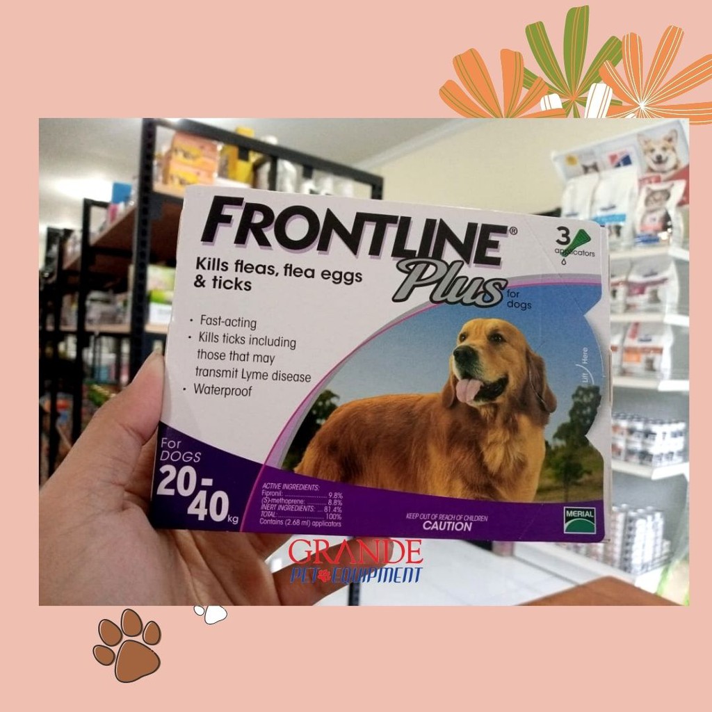 Jual FRONTLINE PLUS DOG 20-40 KG ( 1 tube ) / Frontline Obat Tetes Kutu ...