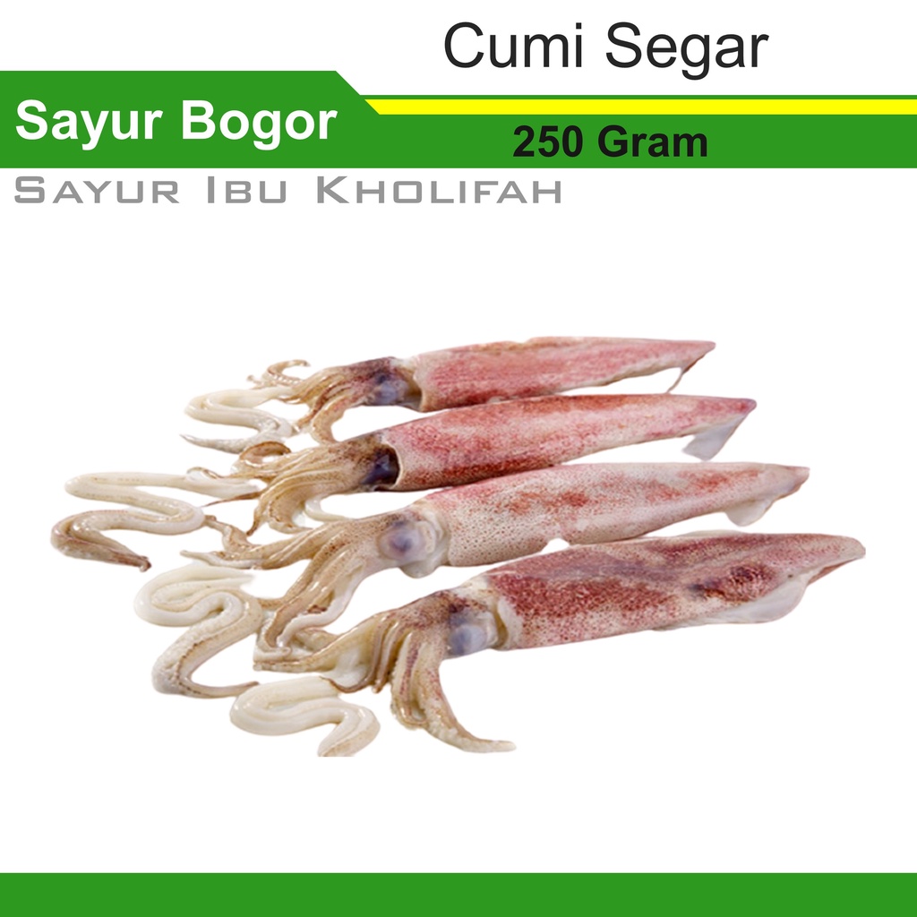 Jual Cumi Cumi Basah250 Gram Segar Ikan Laut Segar Bogor | Shopee Indonesia