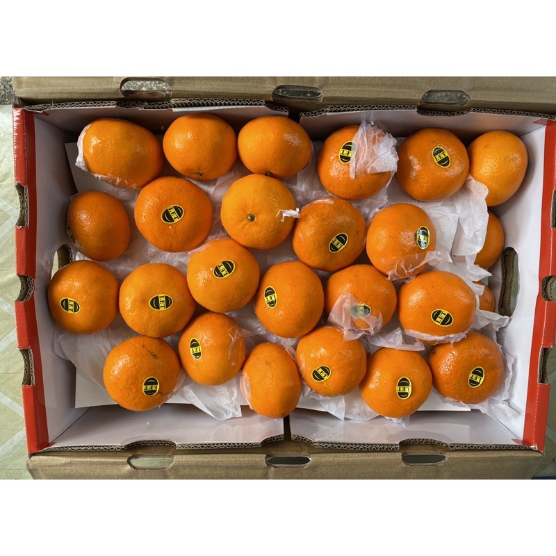 Jual jeruk mandarin wokam/wogan manis fresh import 1 dus | Shopee Indonesia