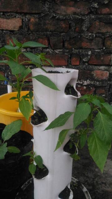 Jual POT TANAMAN VERTIKAL VERTIKULTUR TOWER HIDROPONIK SAYURAN TINGGI ...