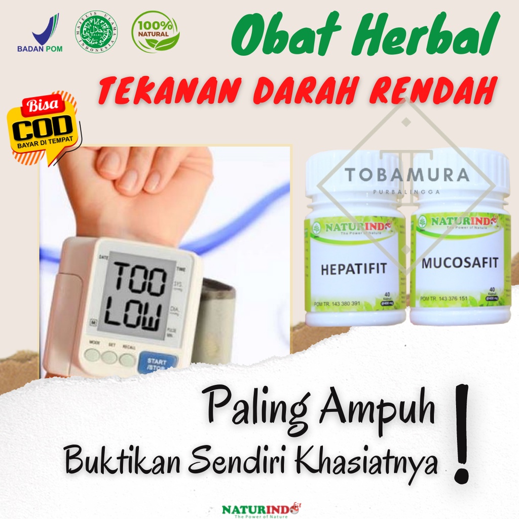 Jual Obat Hipotensi Penambah Hemogblobin HB Pusing Lemas Tekanan Darah ...