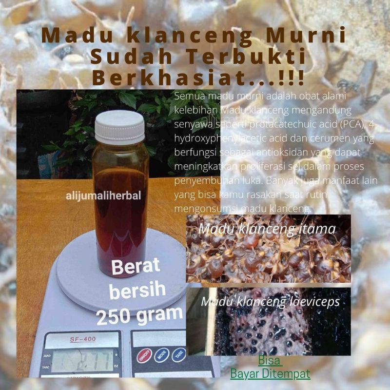 Jual Madu Asli Murni Klanceng Manis Asem Kecut (250 gram)Untuk Asam ...