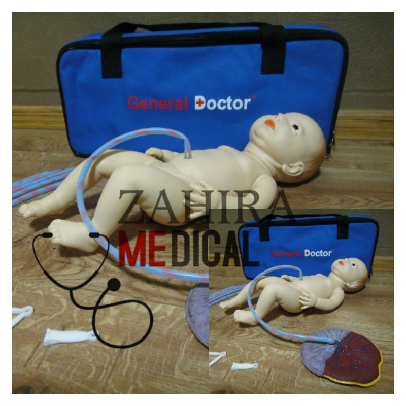 Jual PHANTOM/MANIKIN/MANEKIN BAYI PLASENTA MODEL GD/H 132 GENERAL ...