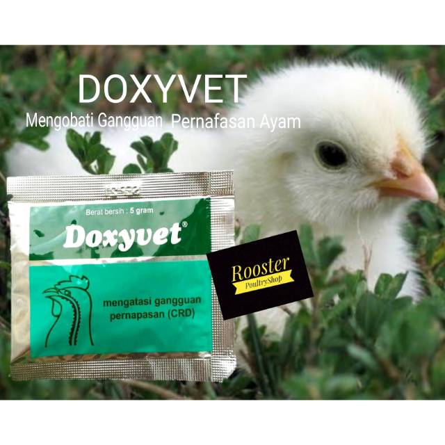 Jual Doxyvet Sachet obat Ayam Sakit pilek Cengkrek Ingusan Muka Bengkak ...
