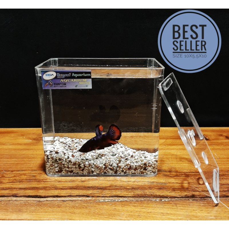 Jual BUYSOF AQUARIUM AKRILIK MINI 10x5,5x10cm MINI AQUARIUM CUPANG ...