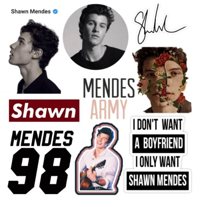 Jual STICKER SHAWN MENDES untuk case handphone/laptop ukuran 3-5cm ...