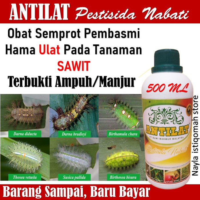 Jual Obat Semprot Pestisida Antilat Mengatasi Hama Ulat Sawit ... Jual Obat Semprot Pestisida Antilat Mengatasi Hama Ulat Sawit ...