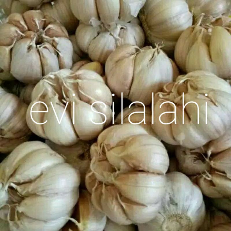 Jual Bawang putih 1KG | Shopee Indonesia
