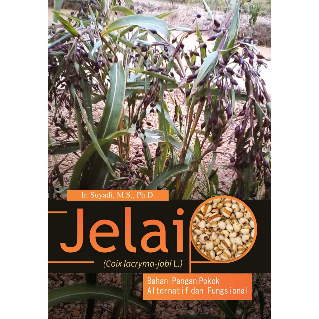 Jual Buku Jelai (Coix Lacryma-Jobi L.) Bahan Pangan Pokok Alternatif ...