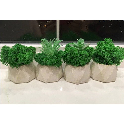 Jual Rumput Artificial Dekorasi Taman Mini Lanskap Bunga Palsu DIY ...