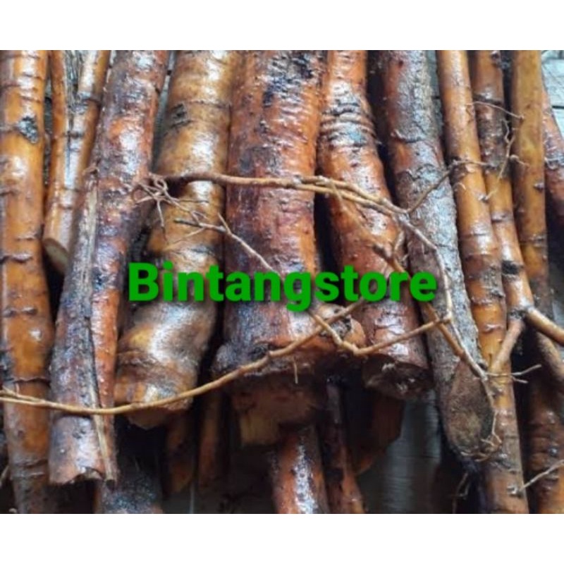 Jual Akar tuba segar akar jenu pestisida organik 1 kg | Shopee Indonesia