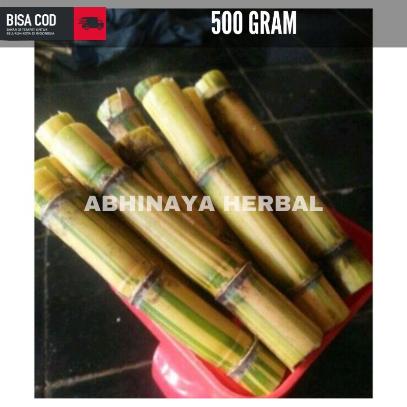 Jual TEBU KUNING SEGAR - TEBU KUNING MANIS 500 gram | Shopee Indonesia