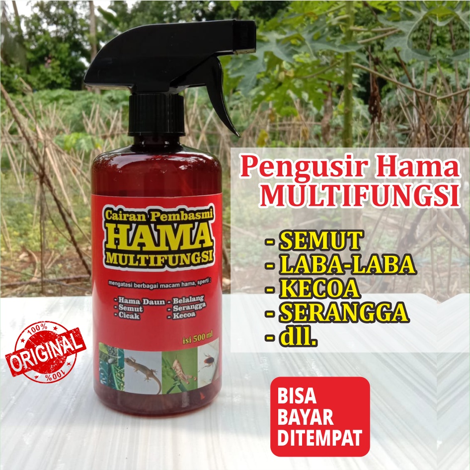 Jual [Bogorfarm] Pembasmi Rayap | Semut | Serangga | TAWON | Kecoa ...